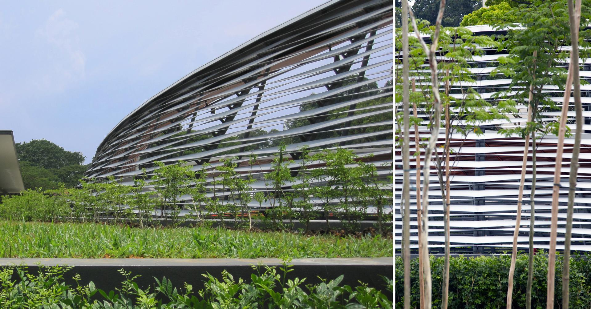 SCDA - Dhoby Ghaut Green