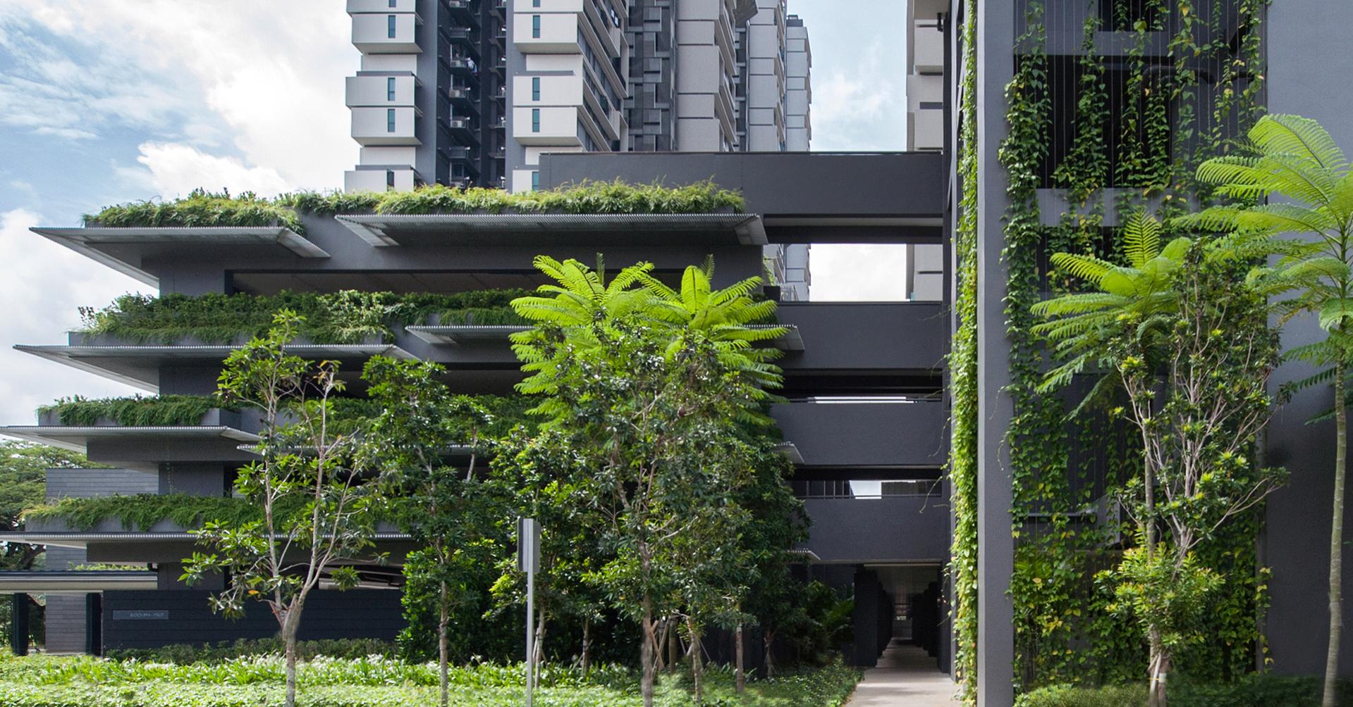 SCDA - SkyTerrace@Dawson